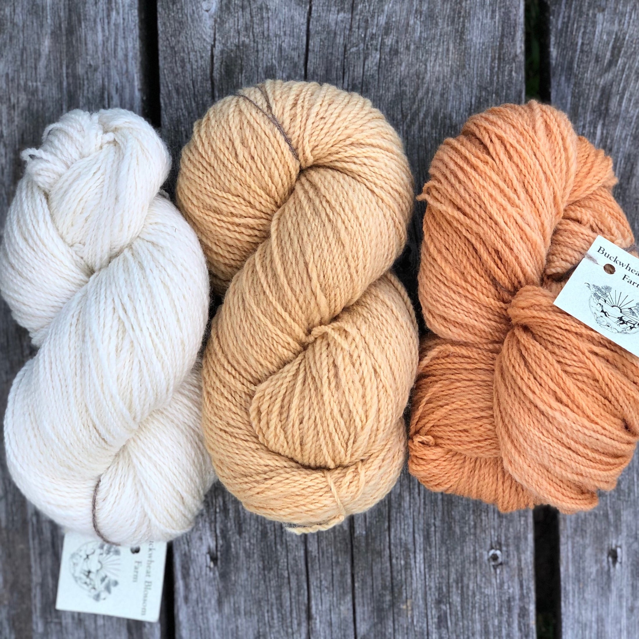 Yarn – Buckwheat Blossom Farm